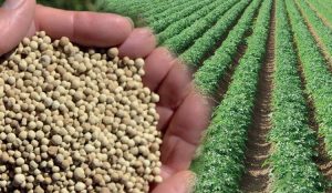 Agricultural Lime - Calciprill Pelletised Lime & Bulk Ag Lime